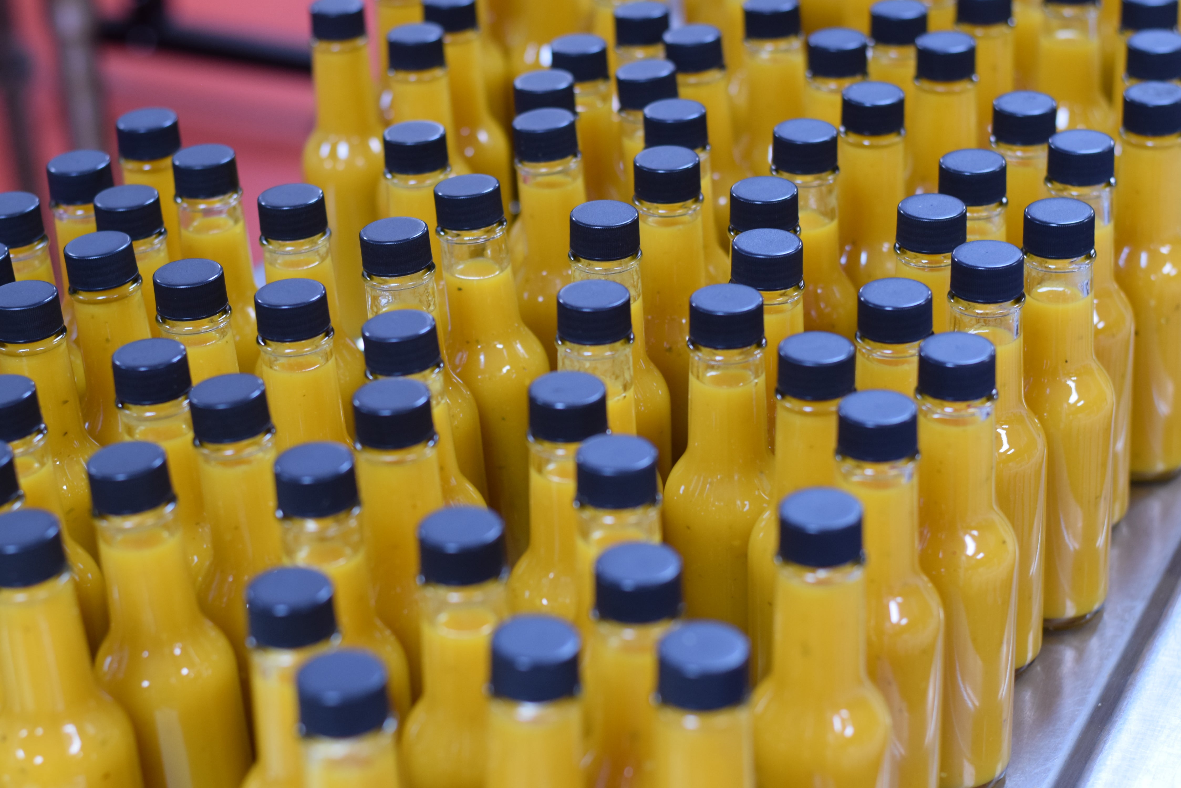 Hamigos First Batch - A Labor of Love