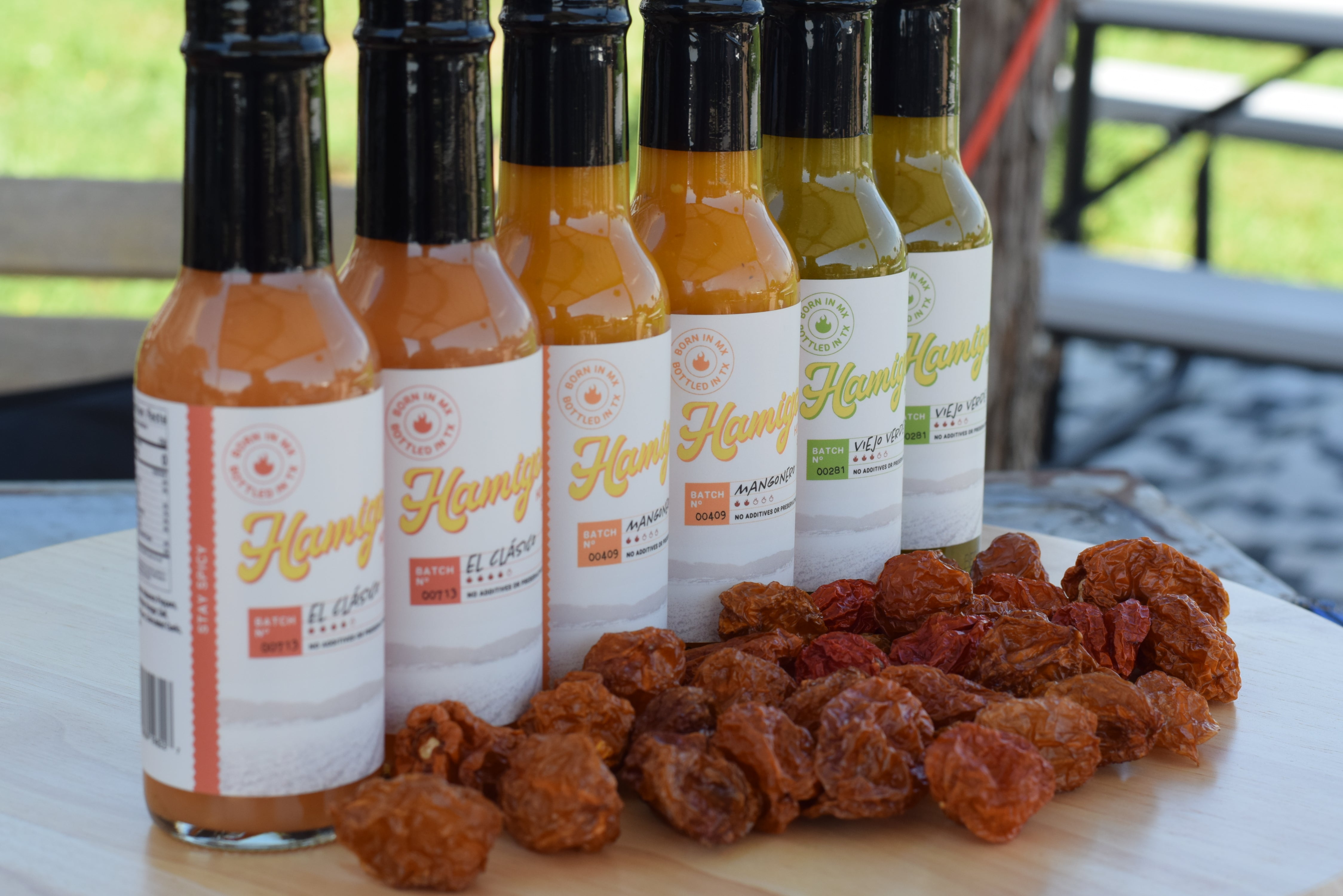 Celebrating Our Six Month Anniversary – Hamigos